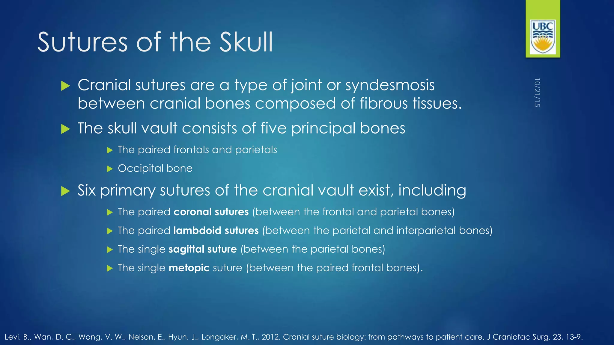 Sutures of the Skull | PPTX