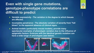 Human Genetics and Craniofacial Development | PPTX