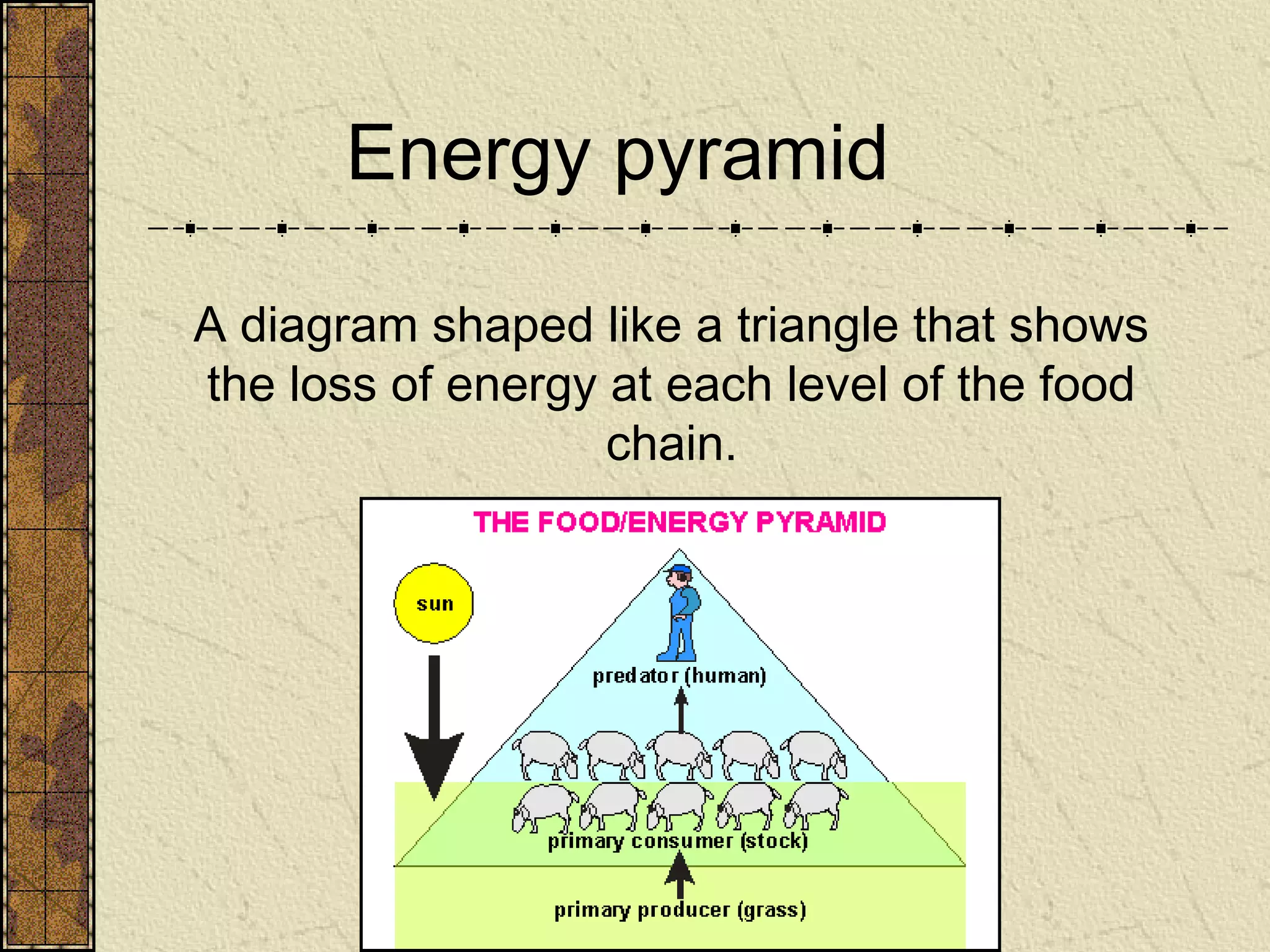 Obj 1&2 compare ways plants and animals use energy and how they are ...
