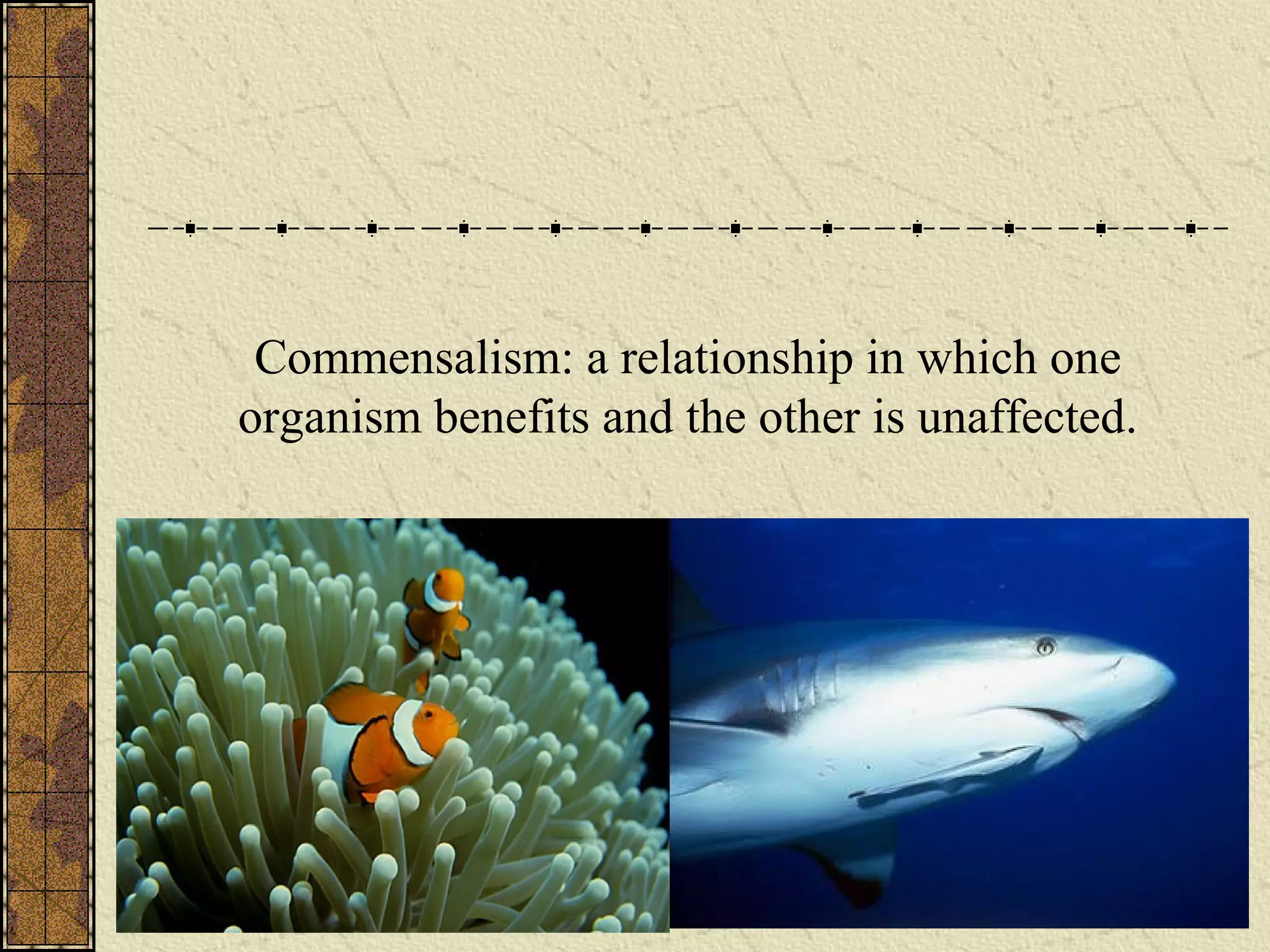 Obj 1&2 compare ways plants and animals use energy and how they are ...