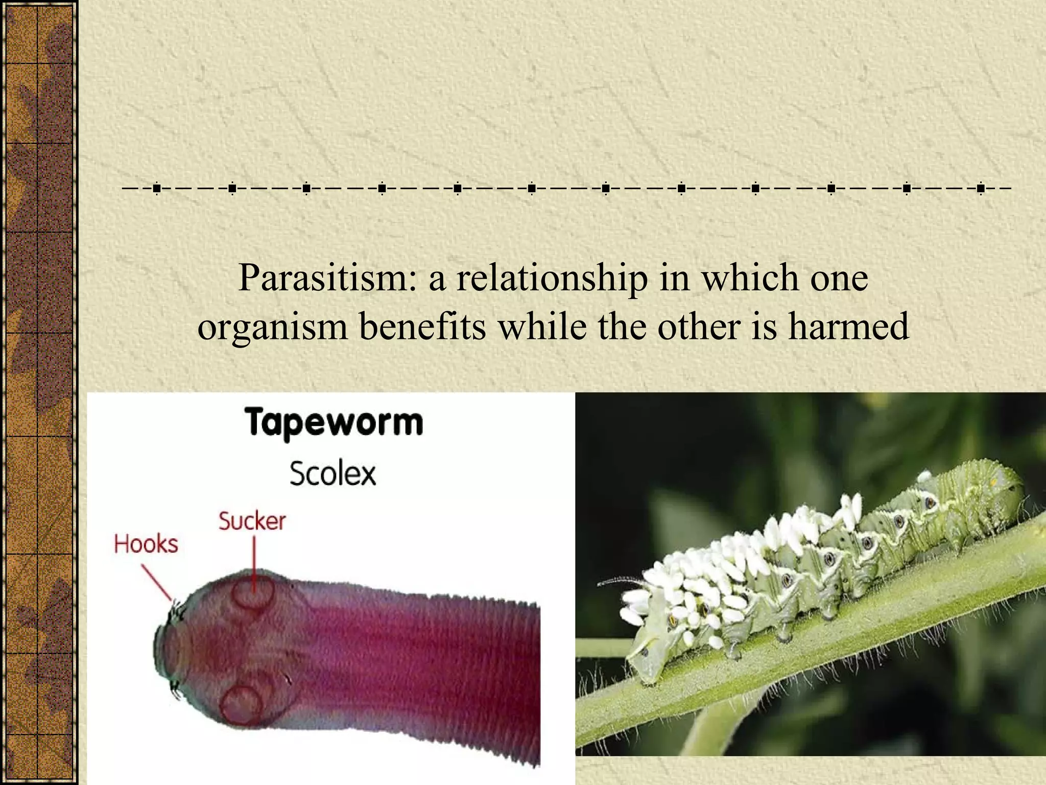 Obj 1&2 compare ways plants and animals use energy and how they are dependant | PPT