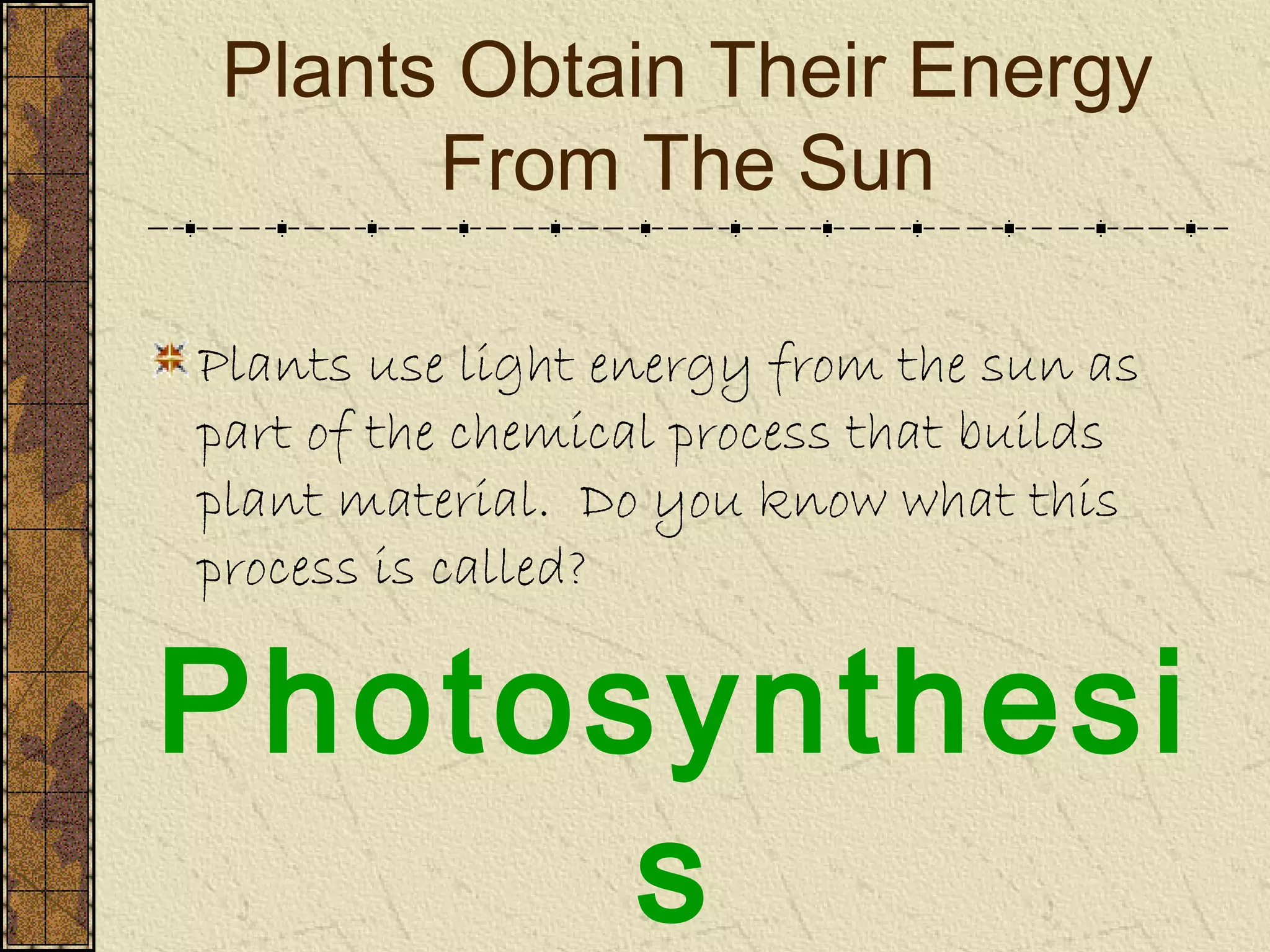 Obj 1&2 compare ways plants and animals use energy and how they are ...