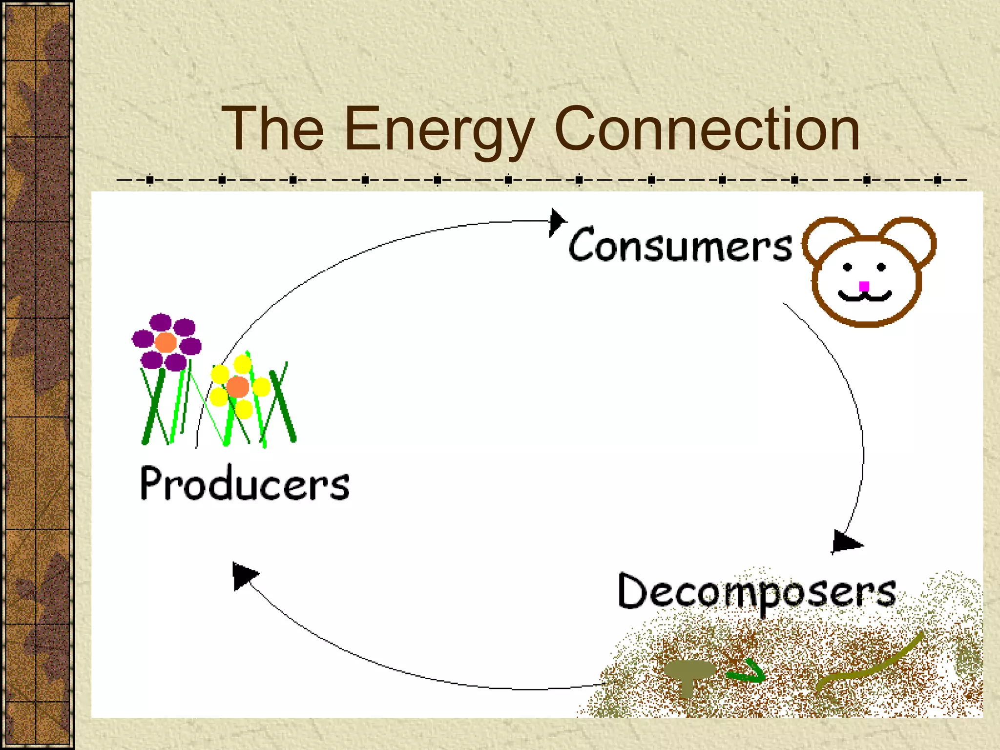 Obj 1&2 compare ways plants and animals use energy and how they are dependant | PPT