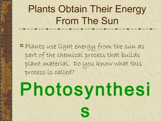 Obj 1&2 compare ways plants and animals use energy and how they are ...