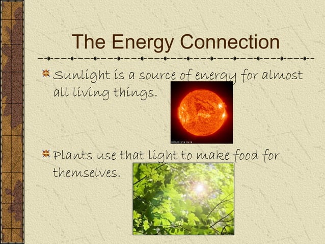 Obj 1&2 compare ways plants and animals use energy and how they are ...