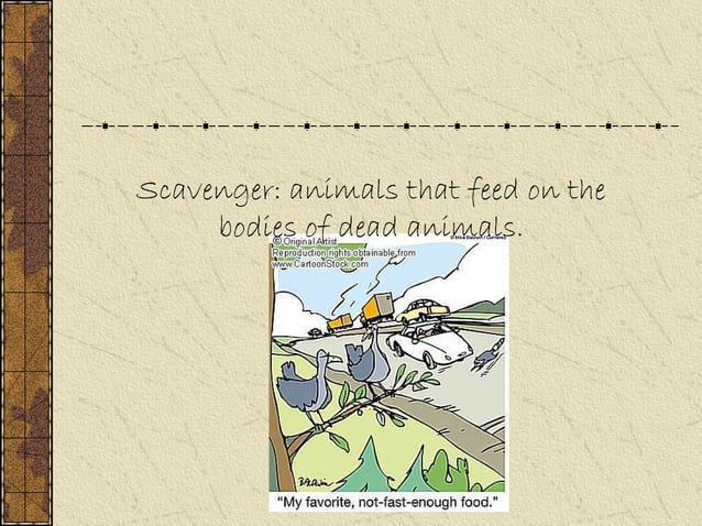 Obj 1&2 compare ways plants and animals use energy and how they are ...