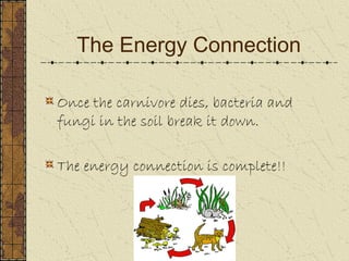 Obj 1&2 compare ways plants and animals use energy and how they are ...