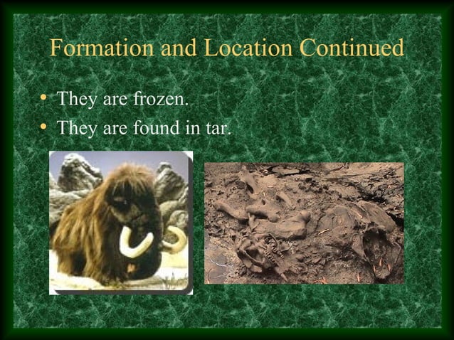 Obj 3 rock and fossil evidence used to infer earth's history | PPT