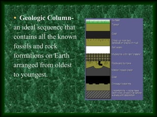 Obj 3 rock and fossil evidence used to infer earth's history | PPT