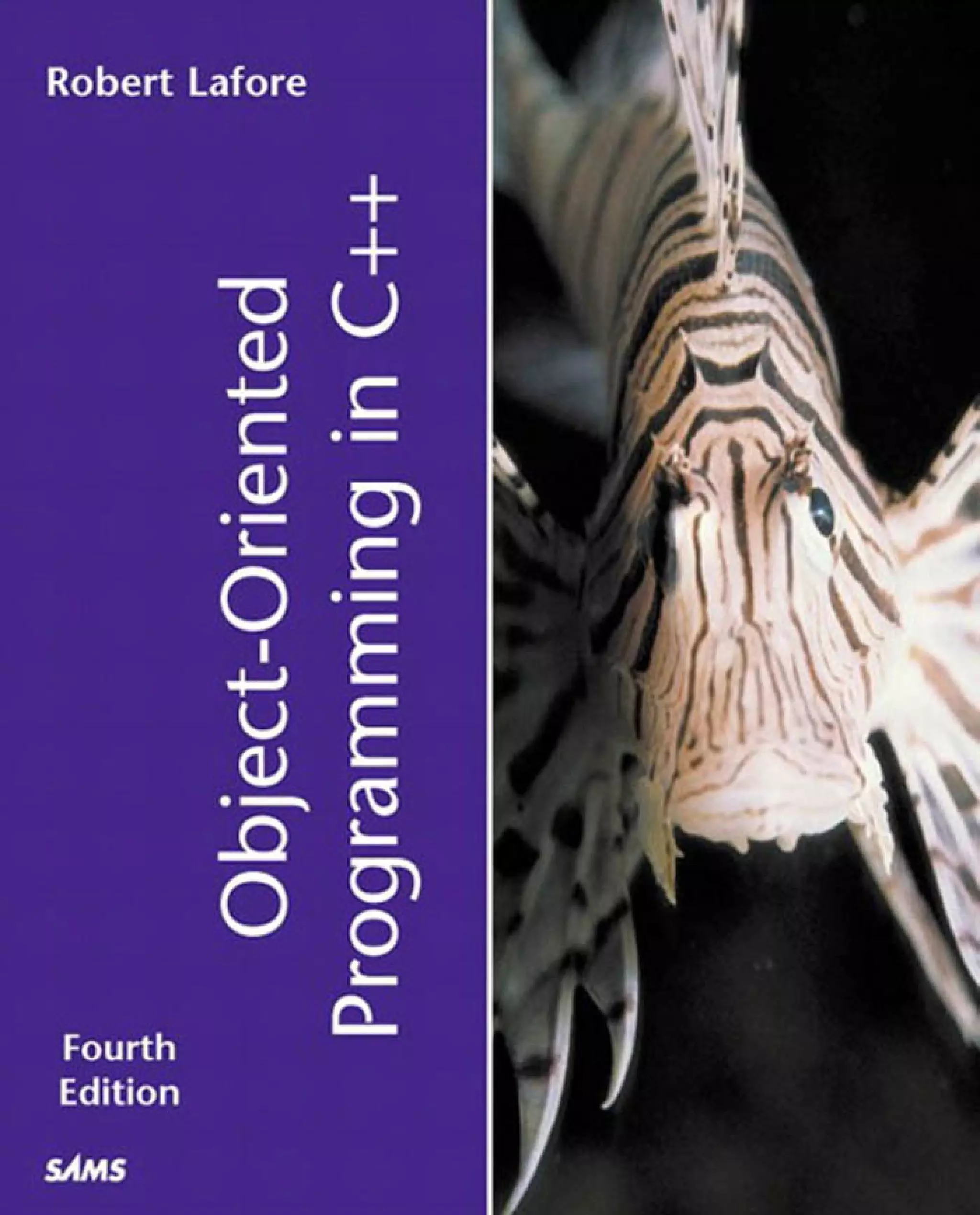 Object Oriented Programming In C 4th Editionpdf
