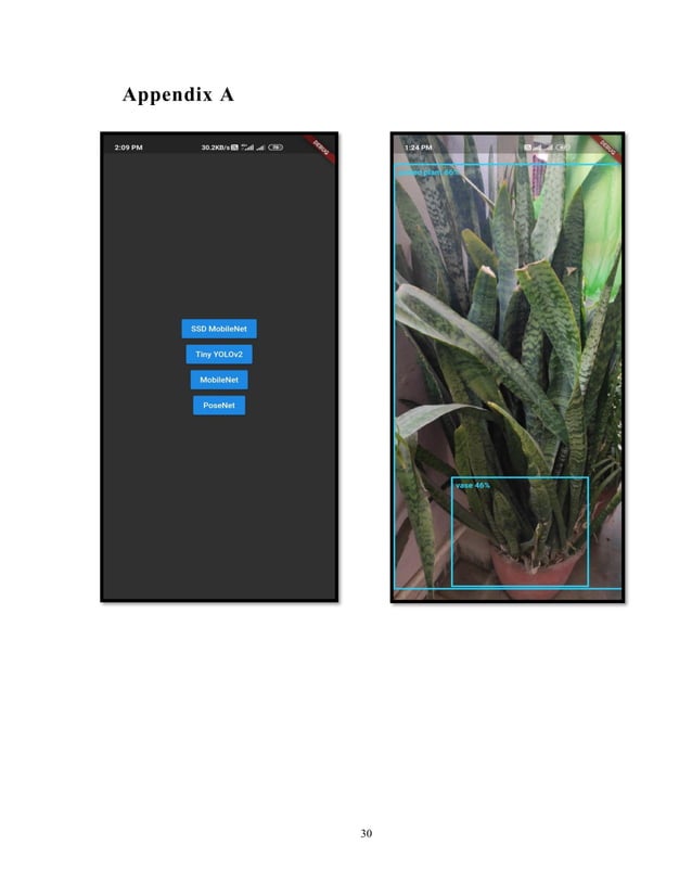 Object and pose detection | PDF