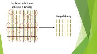 Object detection | PPTX