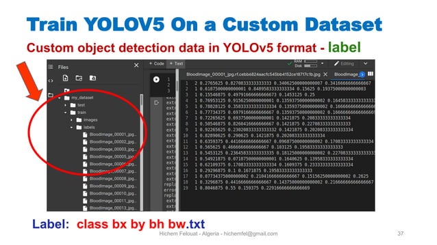 Object Detection And Instance Segmentation Ppt 5135
