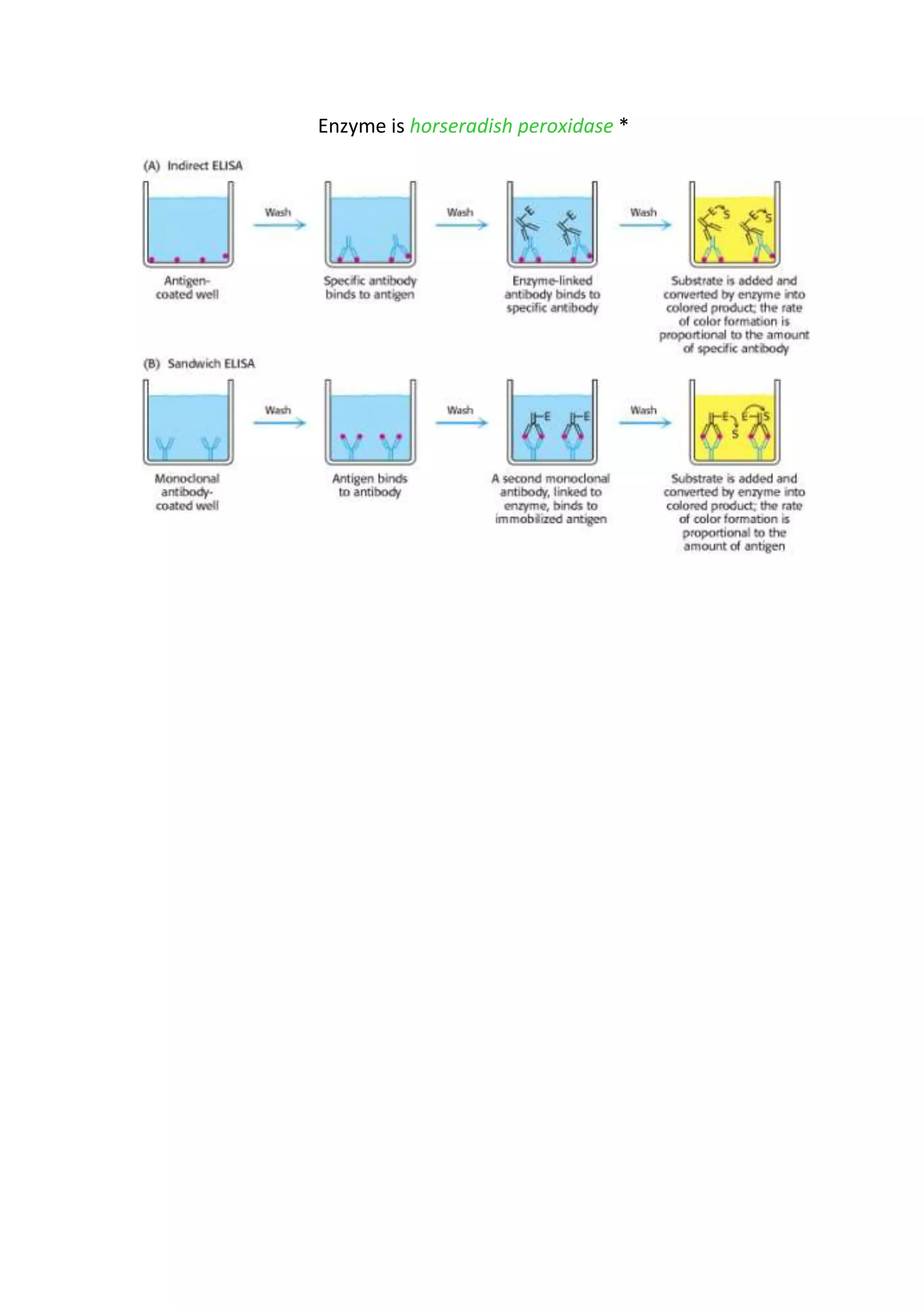 Objective structured practical examination (ospe) | DOCX