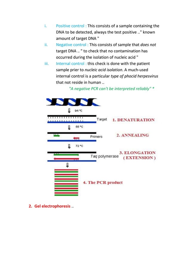 Objective structured practical examination (ospe) | DOCX
