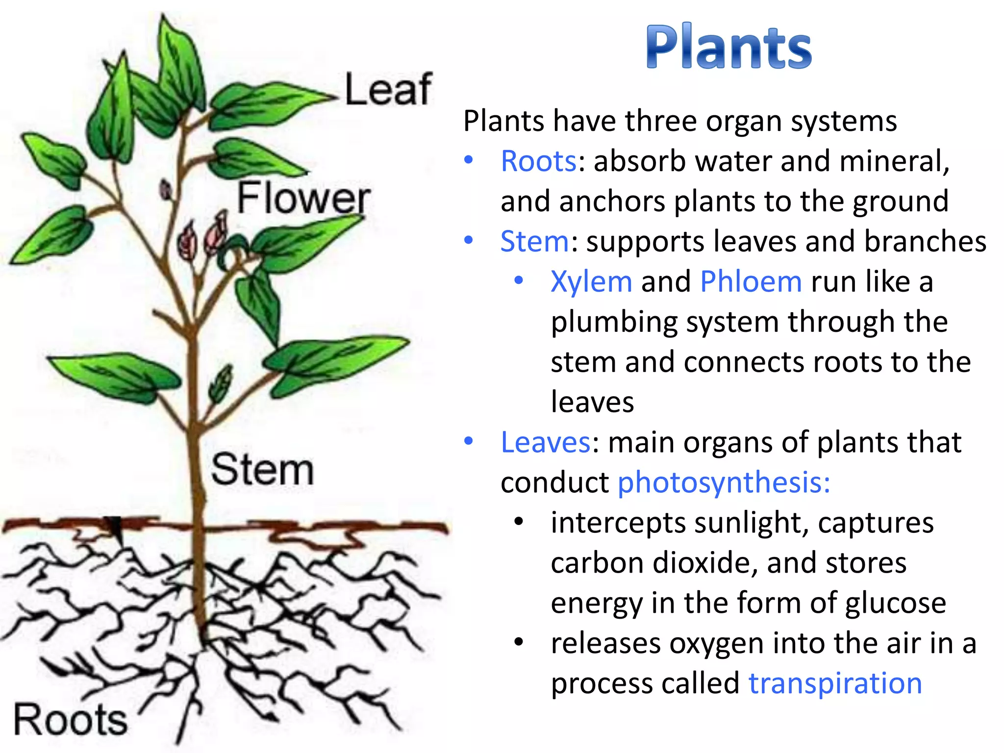 Objective Three: The Interdependence of Organisms and the Environment ...