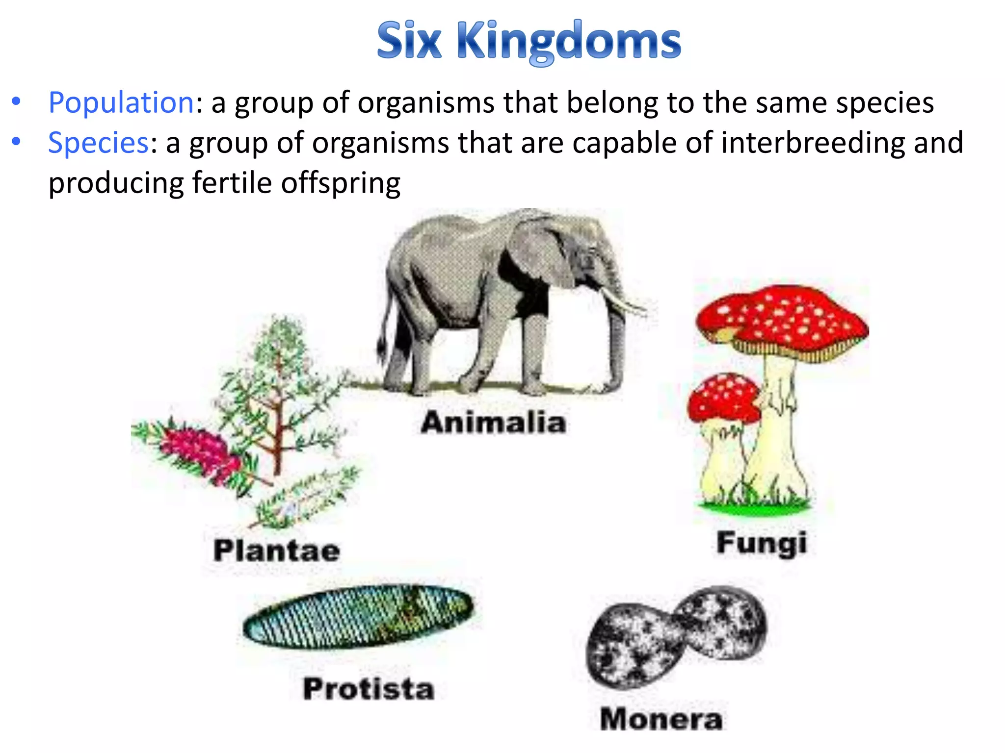 Objective Three: The Interdependence of Organisms and the Environment ...