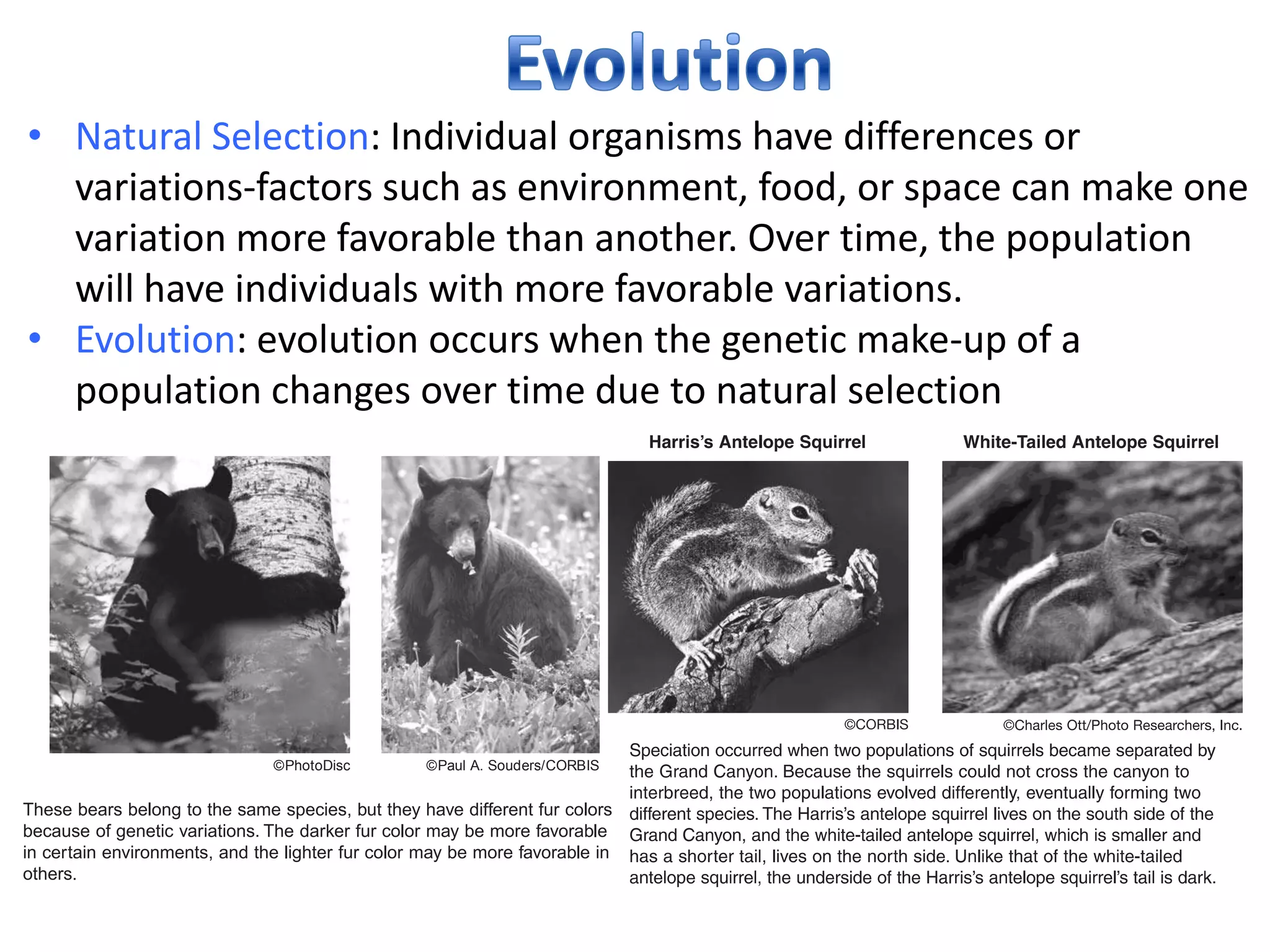 Objective Three: The Interdependence of Organisms and the Environment ...