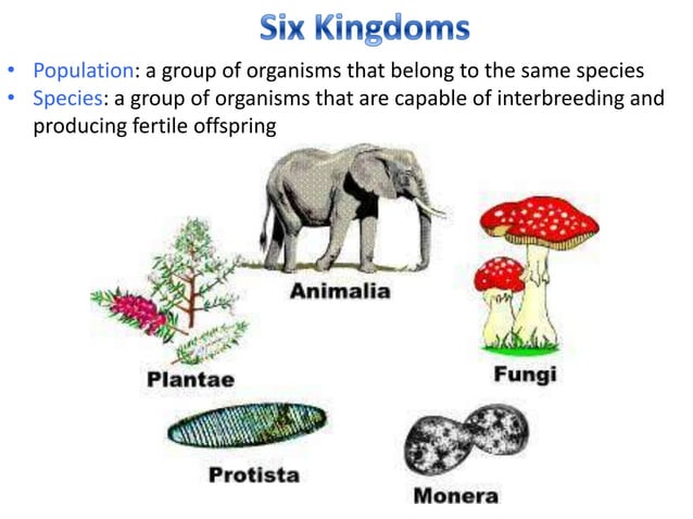 Objective Three: The Interdependence of Organisms and the Environment ...