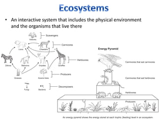 Objective Three: The Interdependence of Organisms and the Environment ...