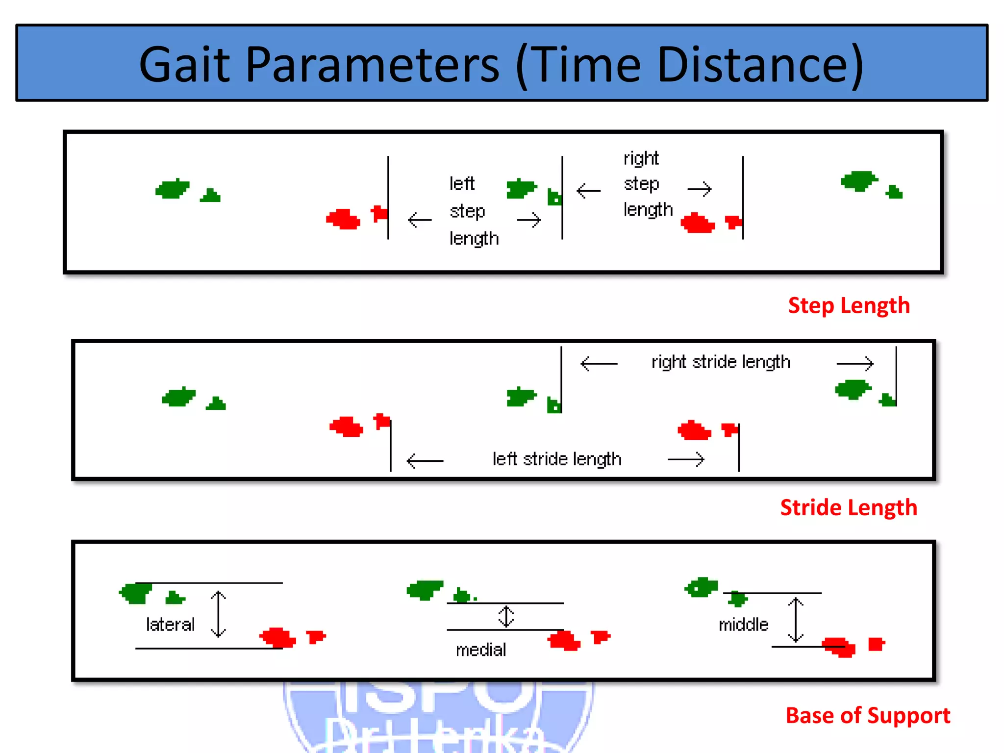 Kinetics and Kinematics Paramters in Gait | PDF