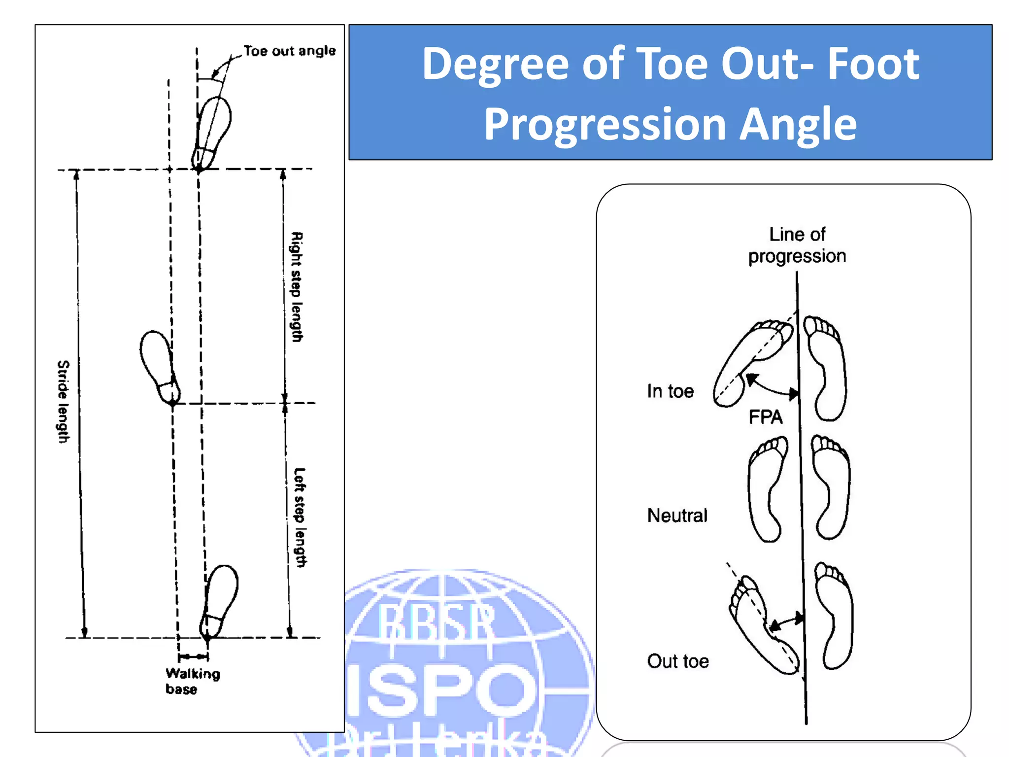 Kinetics and Kinematics Paramters in Gait | PDF