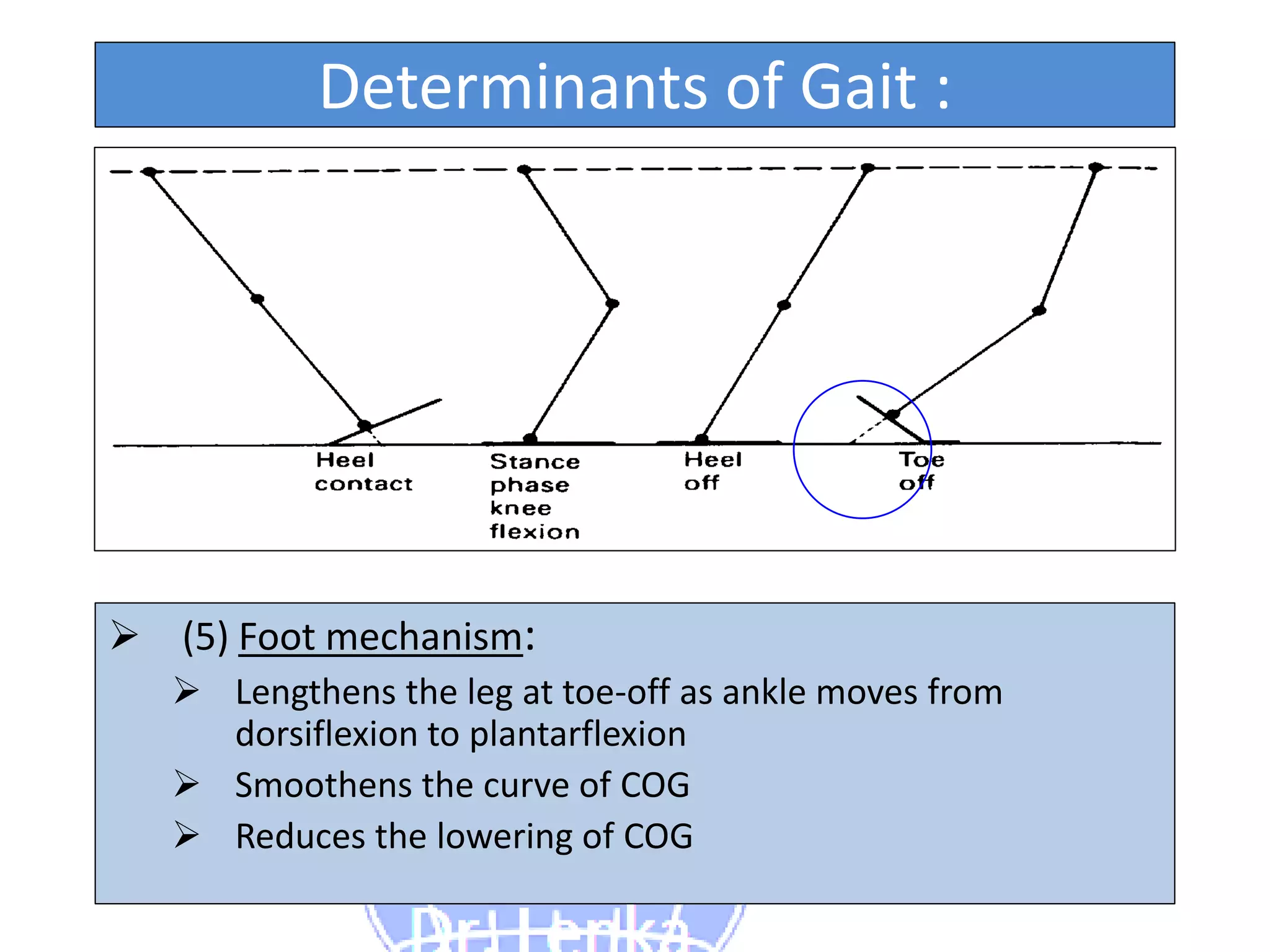 Kinetics and Kinematics Paramters in Gait | PDF