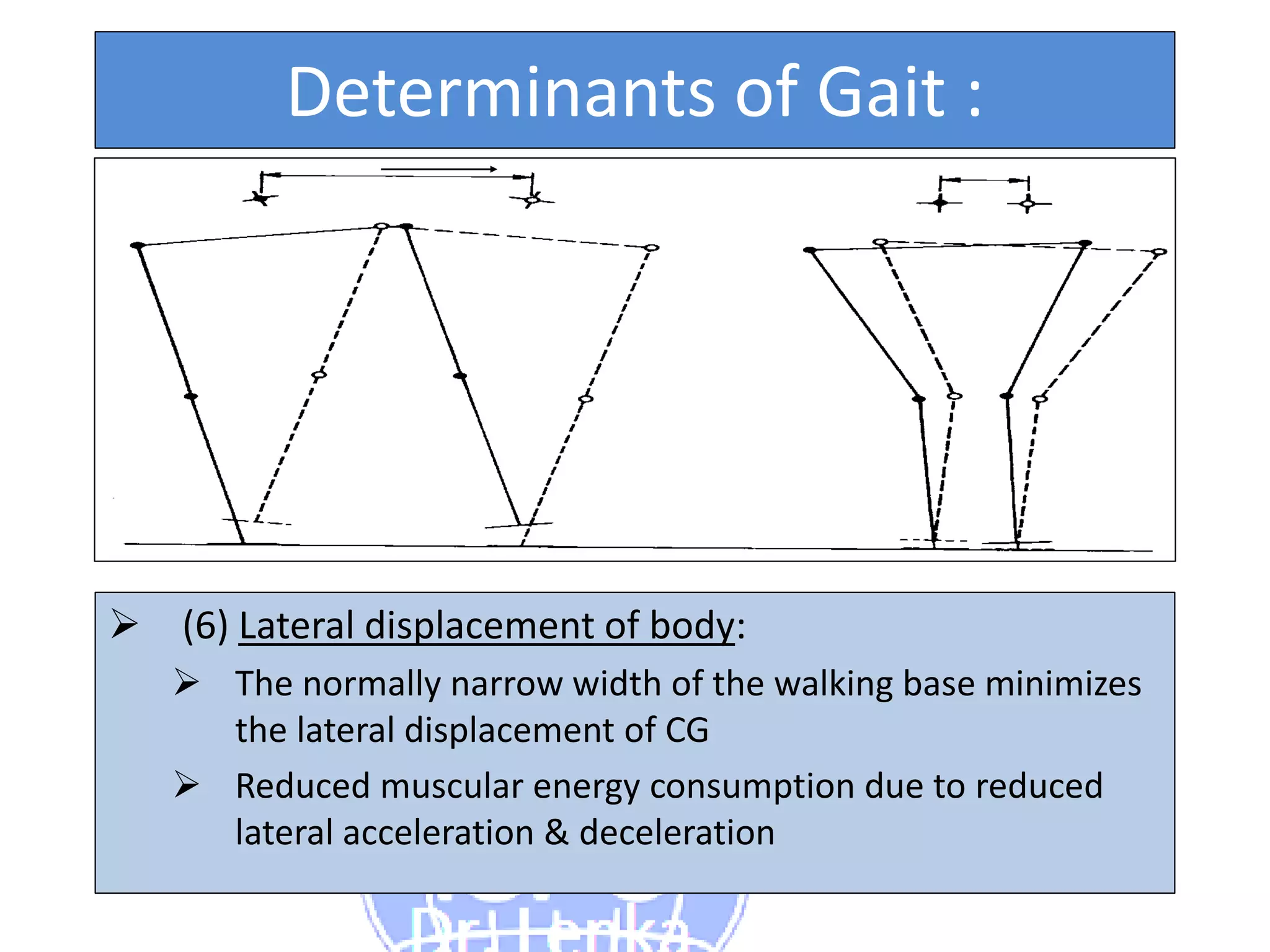 Kinetics and Kinematics Paramters in Gait | PDF | Physical Therapy | Wellness