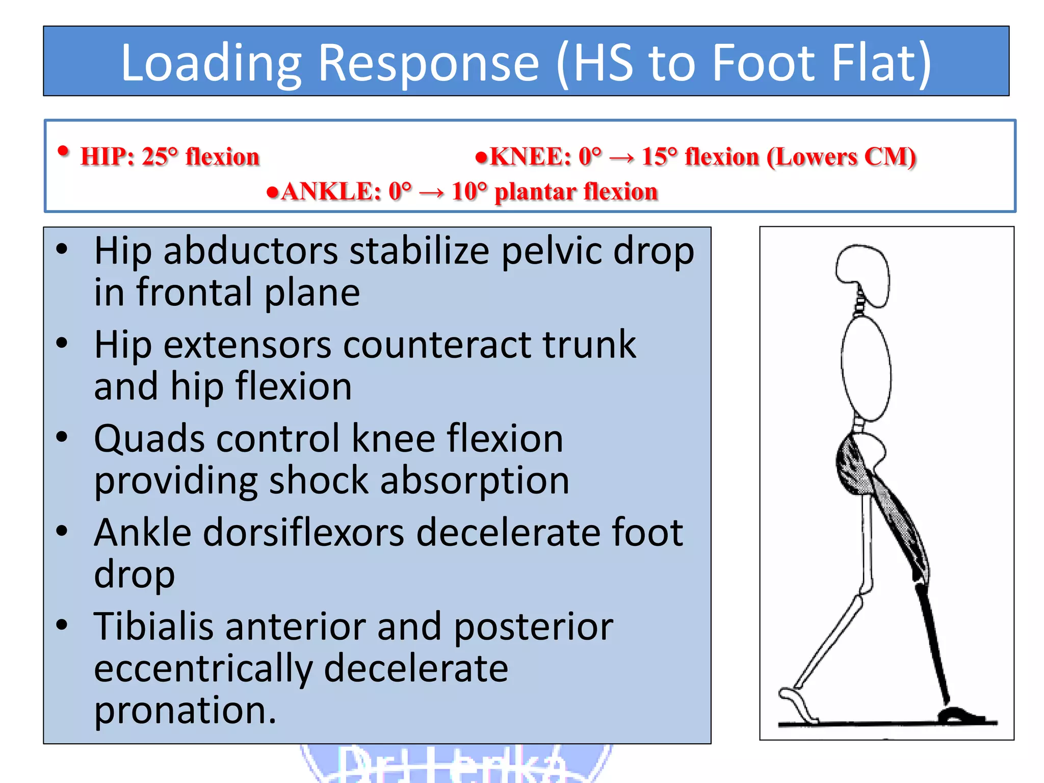 Kinetics and Kinematics Paramters in Gait | PDF