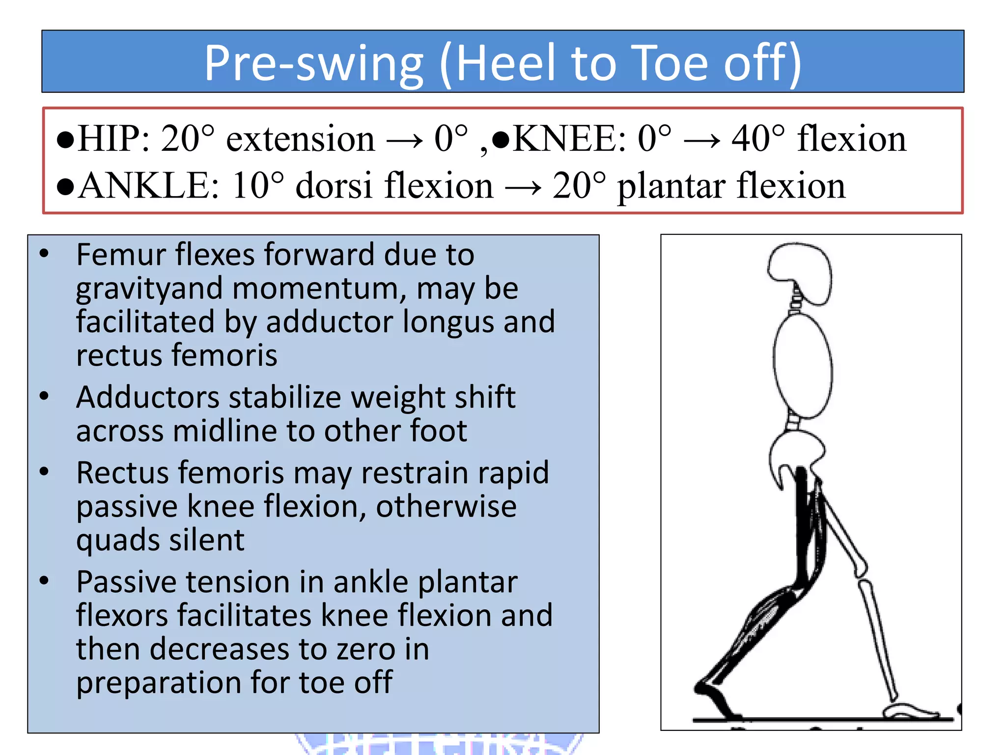 Kinetics and Kinematics Paramters in Gait | PDF