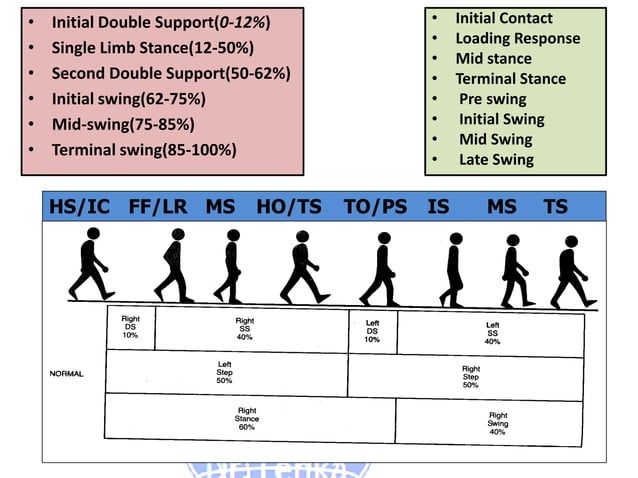 Kinetics and Kinematics Paramters in Gait | PDF | Physical Therapy ...