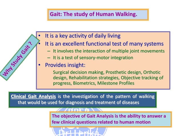 Kinetics and Kinematics Paramters in Gait | PDF | Physical Therapy | Wellness