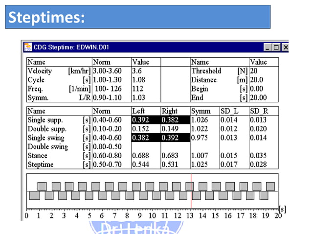 Kinetics And Kinematics Paramters In Gait Pdf Physical Therapy