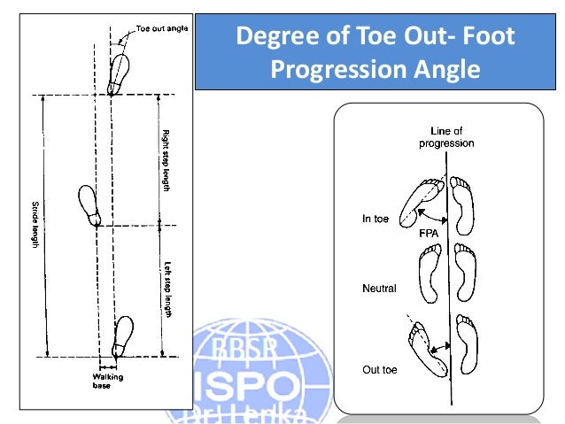 Kinetics And Kinematics Paramters In Gait