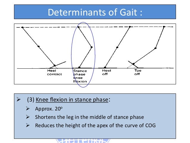 Kinetics And Kinematics Paramters In Gait
