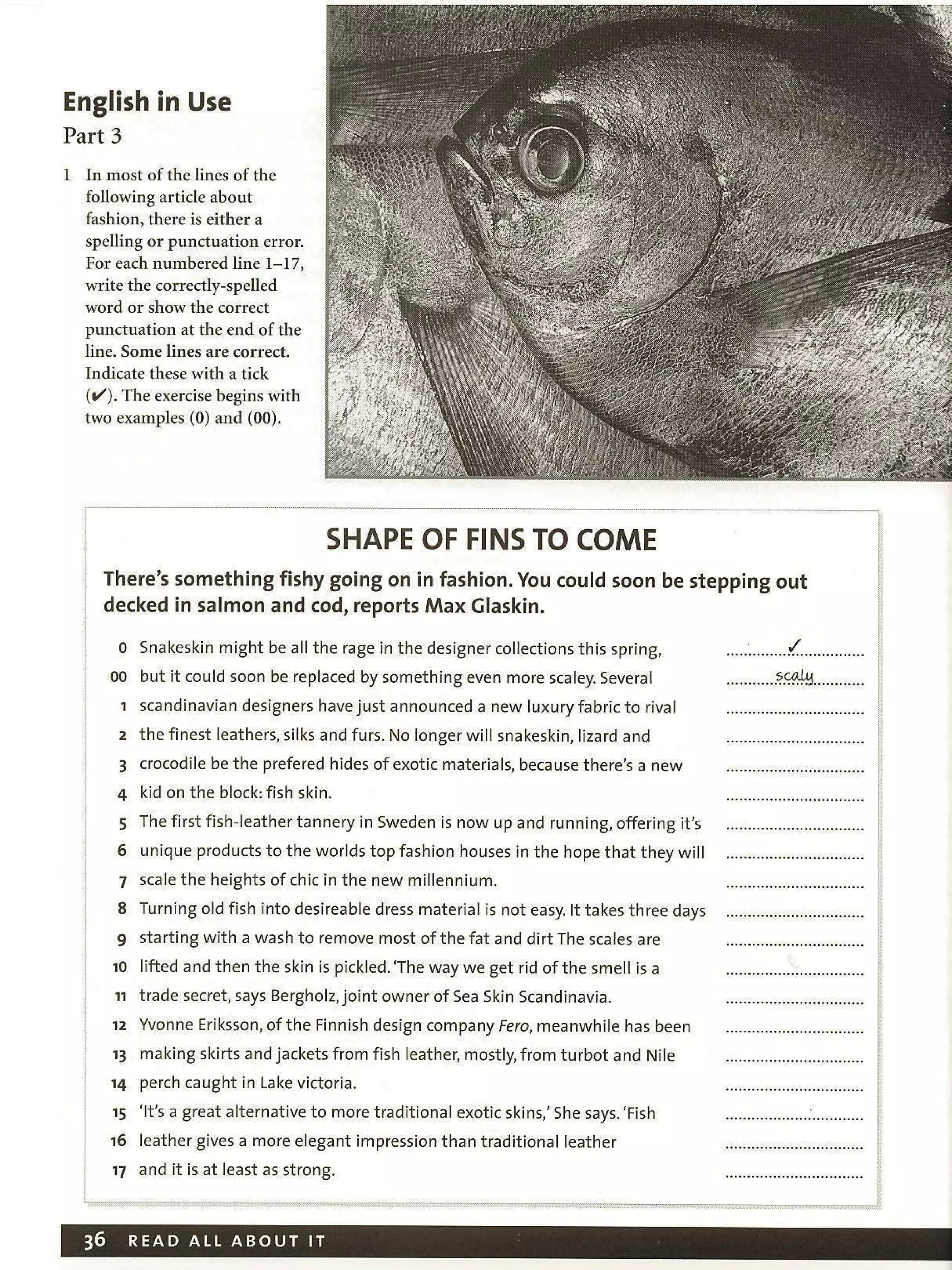 Objective cae workbook | PDF