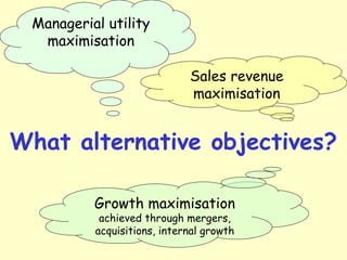 Objectives profit max and others | PPT