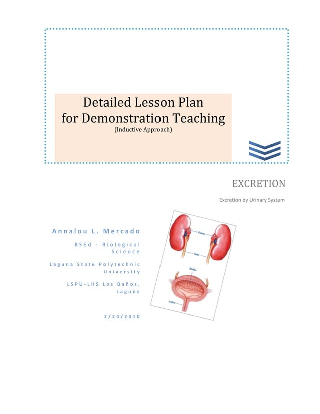 Objectives Of Lesson Plan Urinary System | DOCX
