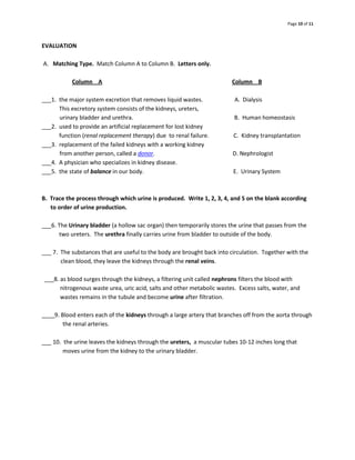 Objectives Of Lesson Plan Urinary System | DOCX