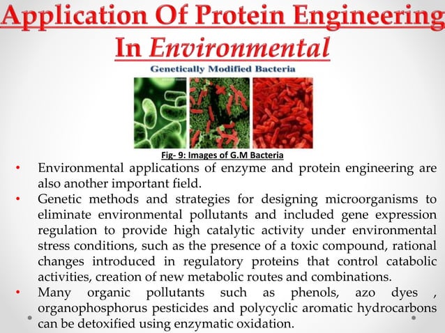 Objectives Of Protein Engineerihg BY Akash Das | PPT