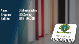 Objective test,,,Assessment of education | PPT