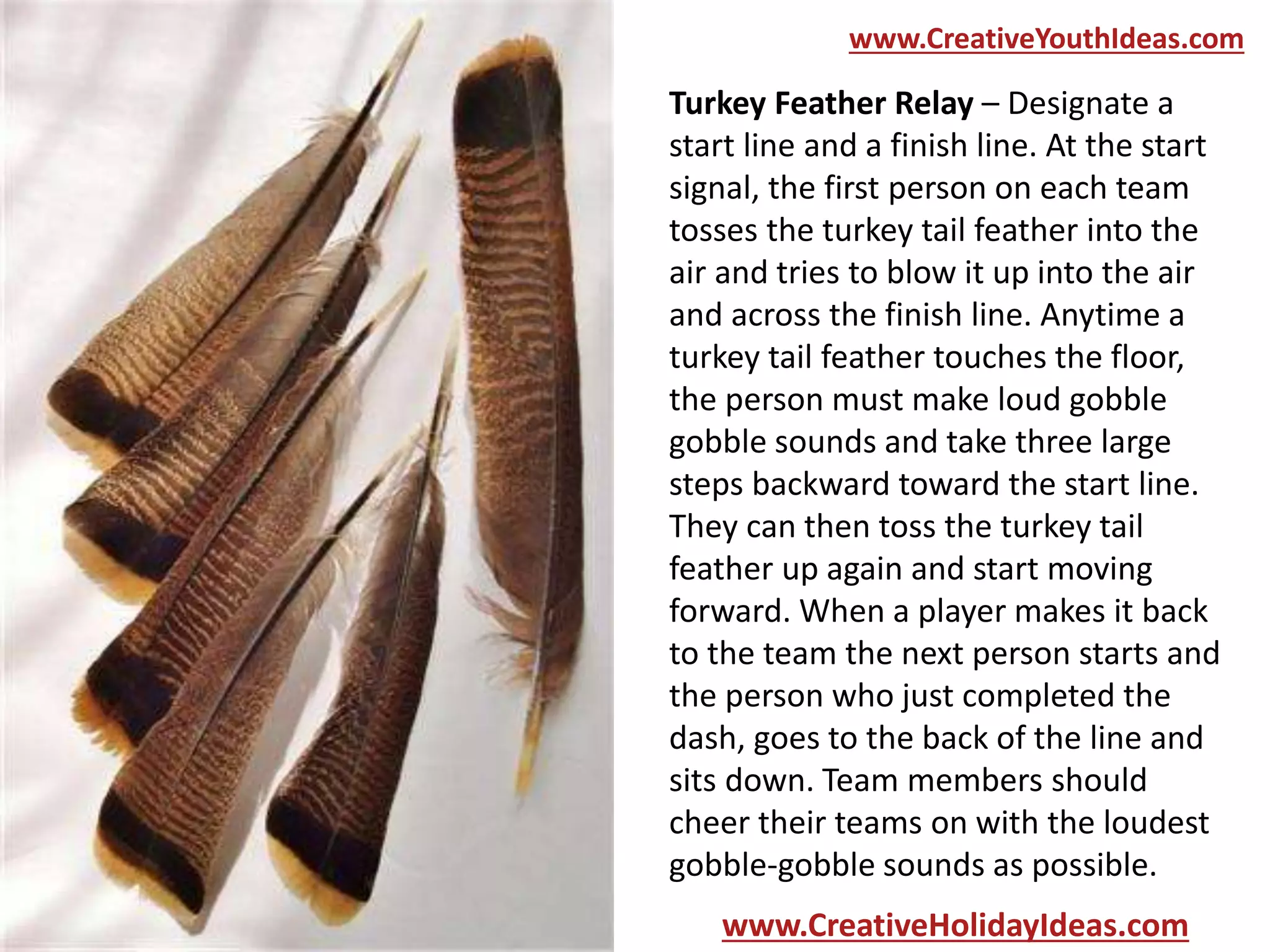 Object Lesson - Turkey Feathers of Thanksgiving | PPTX | National ...