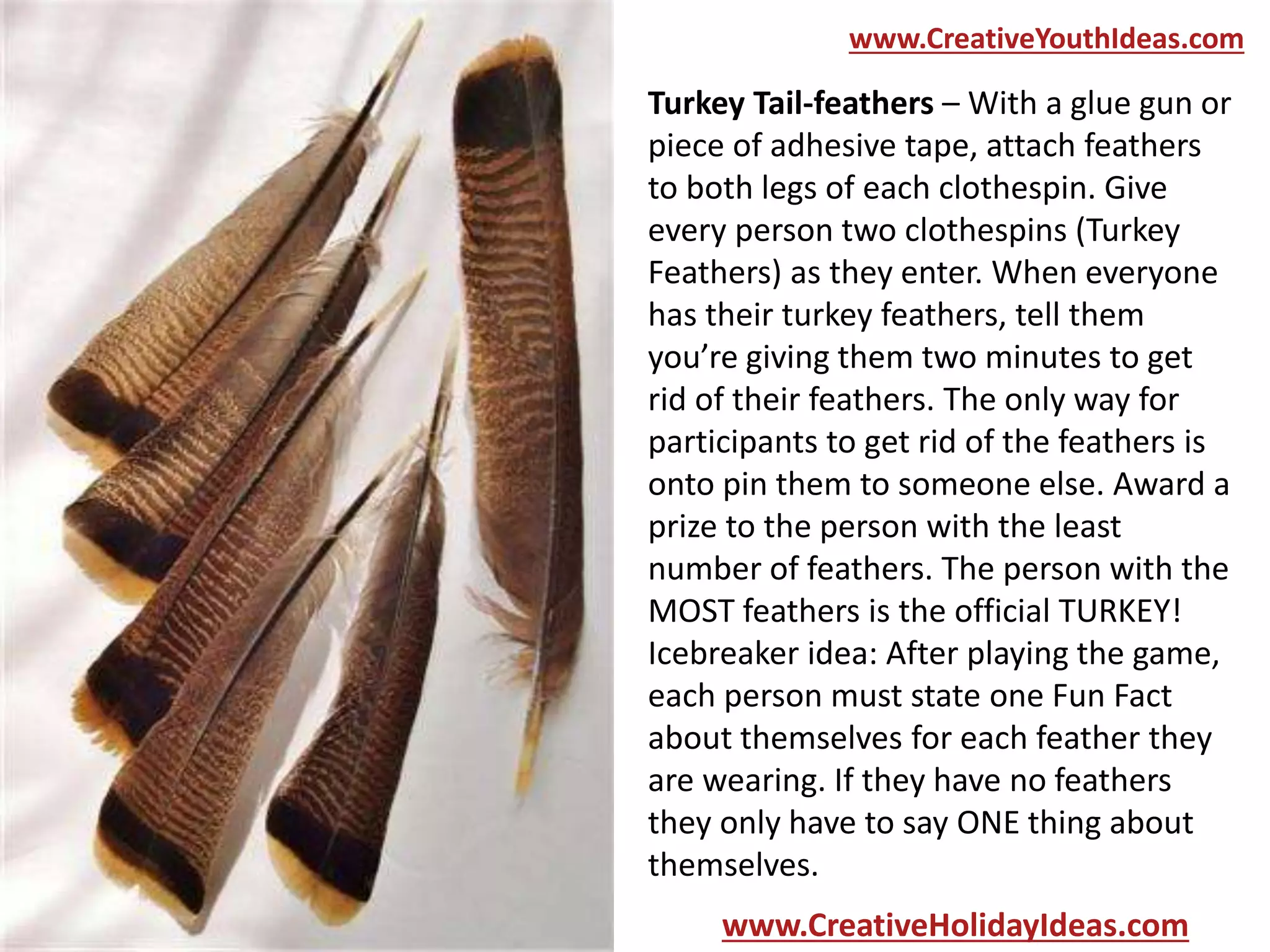 Object Lesson - Turkey Feathers of Thanksgiving | PPTX