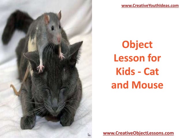 Object Lesson for Kids - Cat and Mouse | PPT