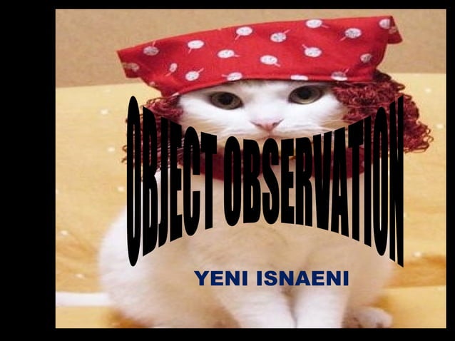 Object observation | PPT | Gardening | Home & Garden