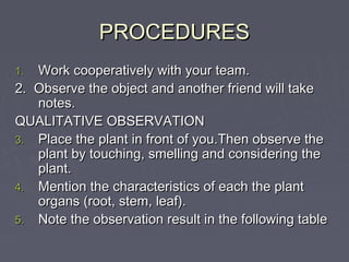 Object observation | PPT | Gardening | Home & Garden