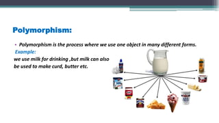 Object Oriented Design | PPTX | Programming Languages | Computing