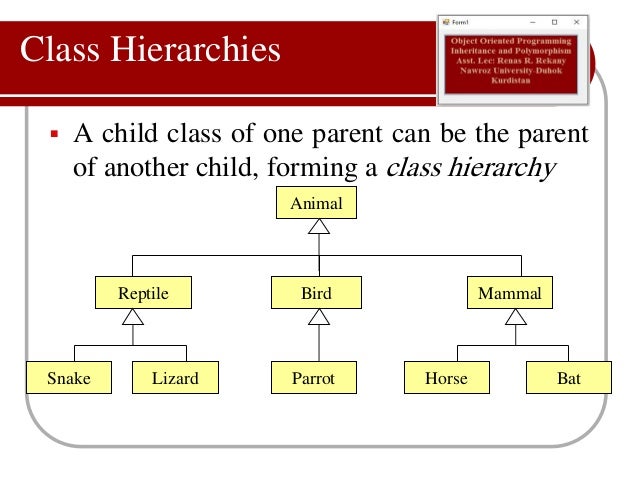 Object Oriented Programming Inheritance 8812
