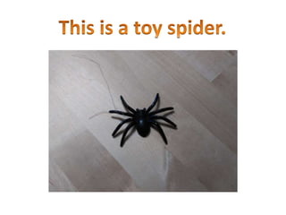 What's in your school bag? Objects | PPTX