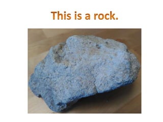 What's in your school bag? Objects | PPTX